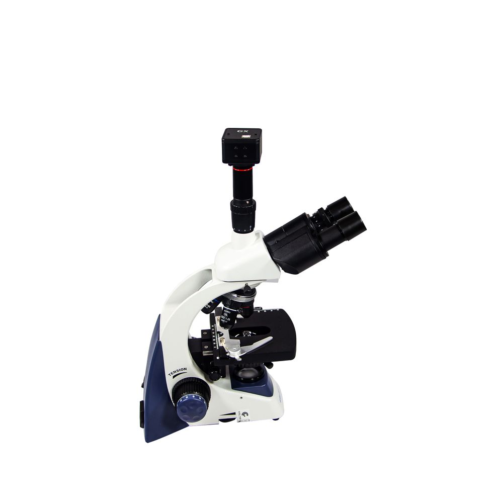 Global Trade Tecnology