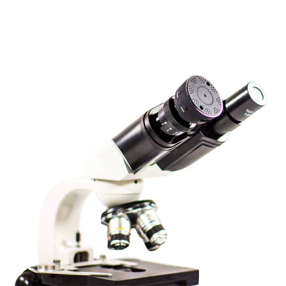 Global Trade Tecnology