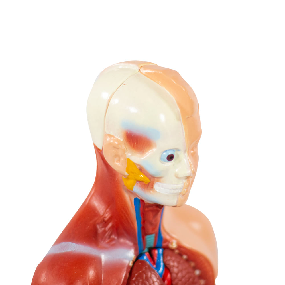 Global Trade Tecnology